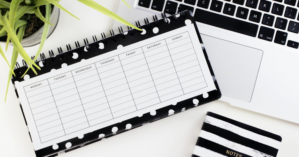 Project Management Steps that Should Be Taken for Successful Project ...