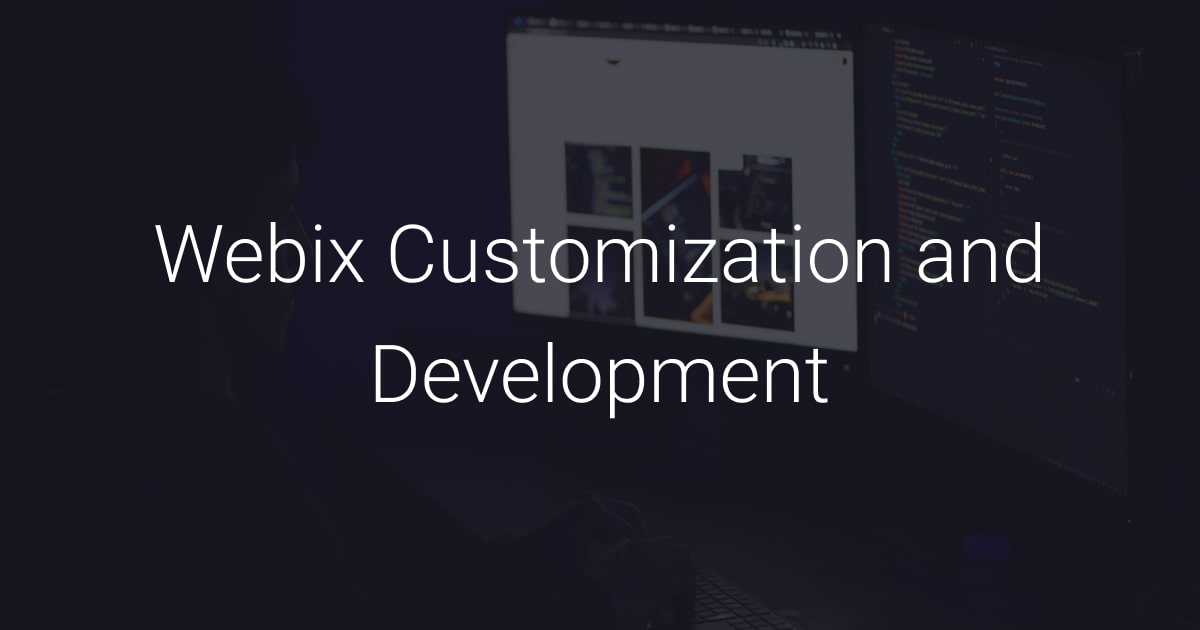 Webix Customization And Development Services Xb Software
