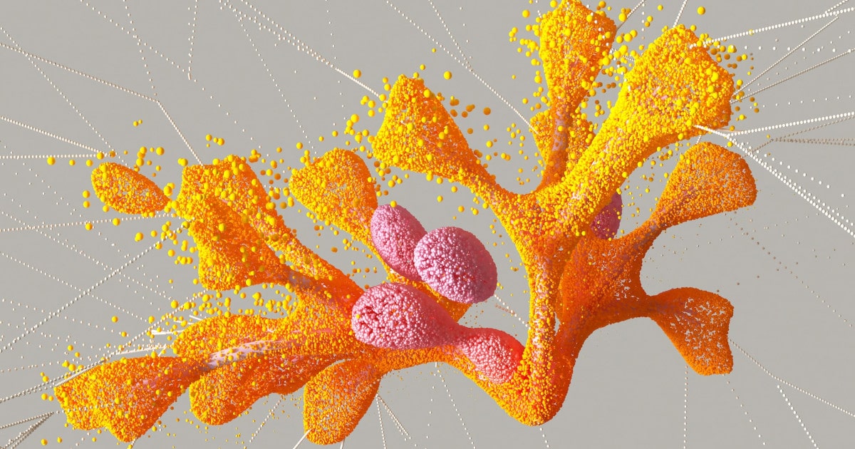 What Is a Digital Immune System and How Does It Work? - XB Software